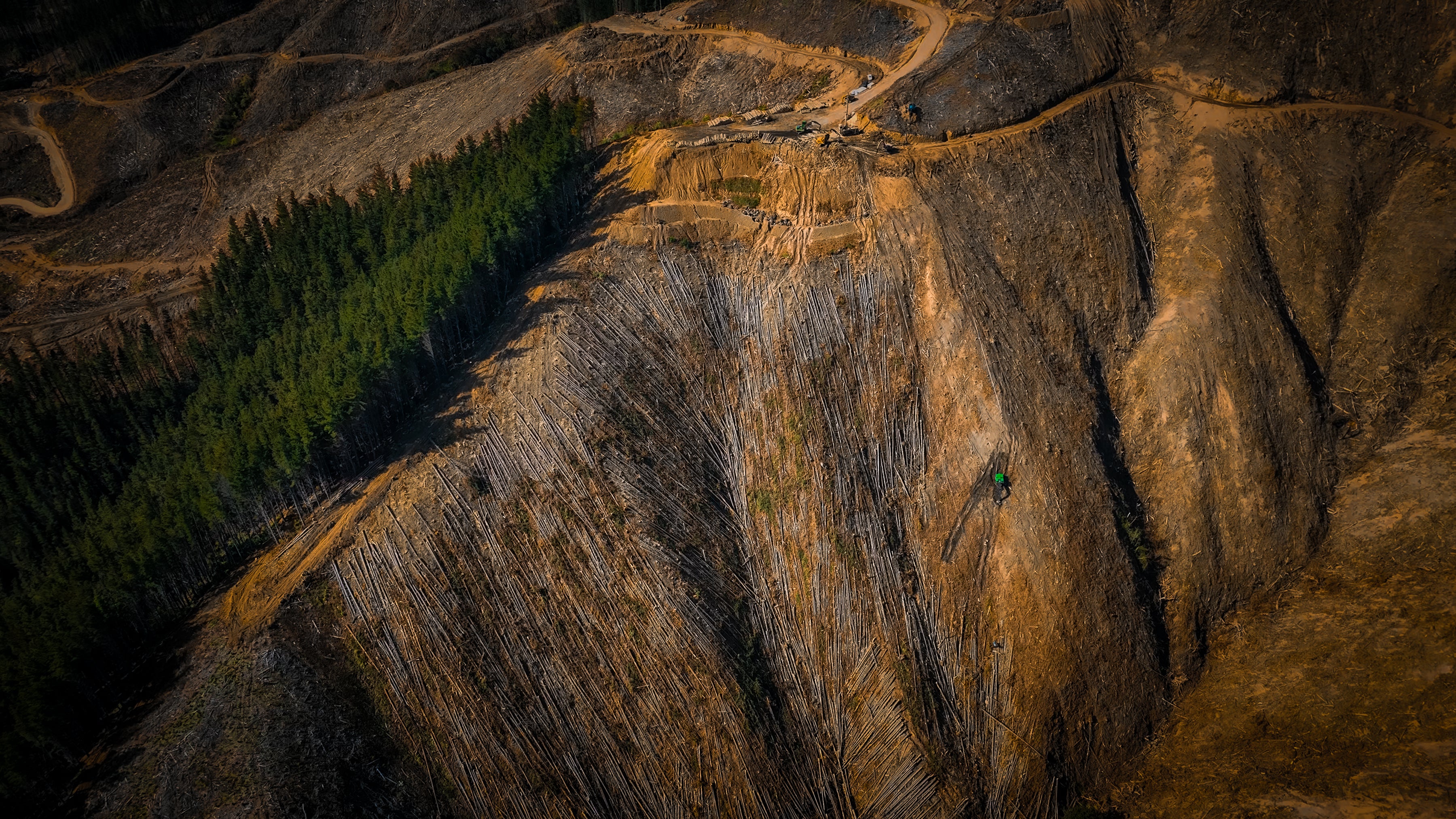 LOGGER Merch | Clothing & Accessories for Loggers Worldwide – Logger Merch
